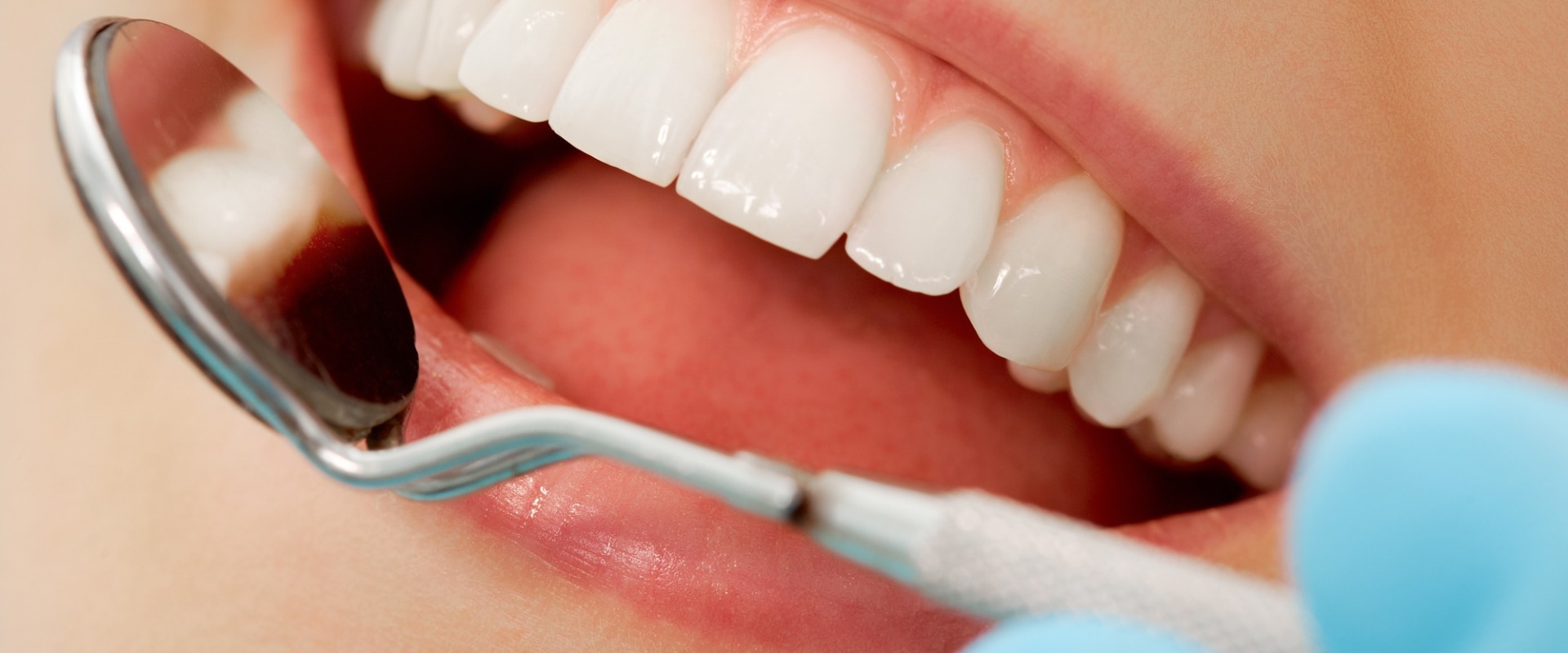 How Size and Shape of Teeth Determine Their Function